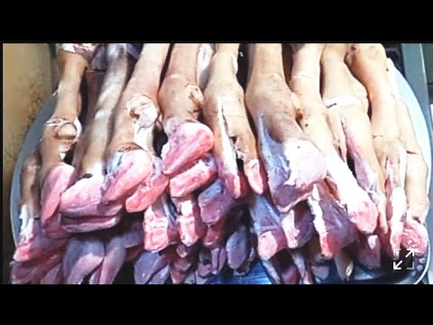 Bakra Eid Recipes || Mutton Paya Special || Mutton Paya Recipe ...