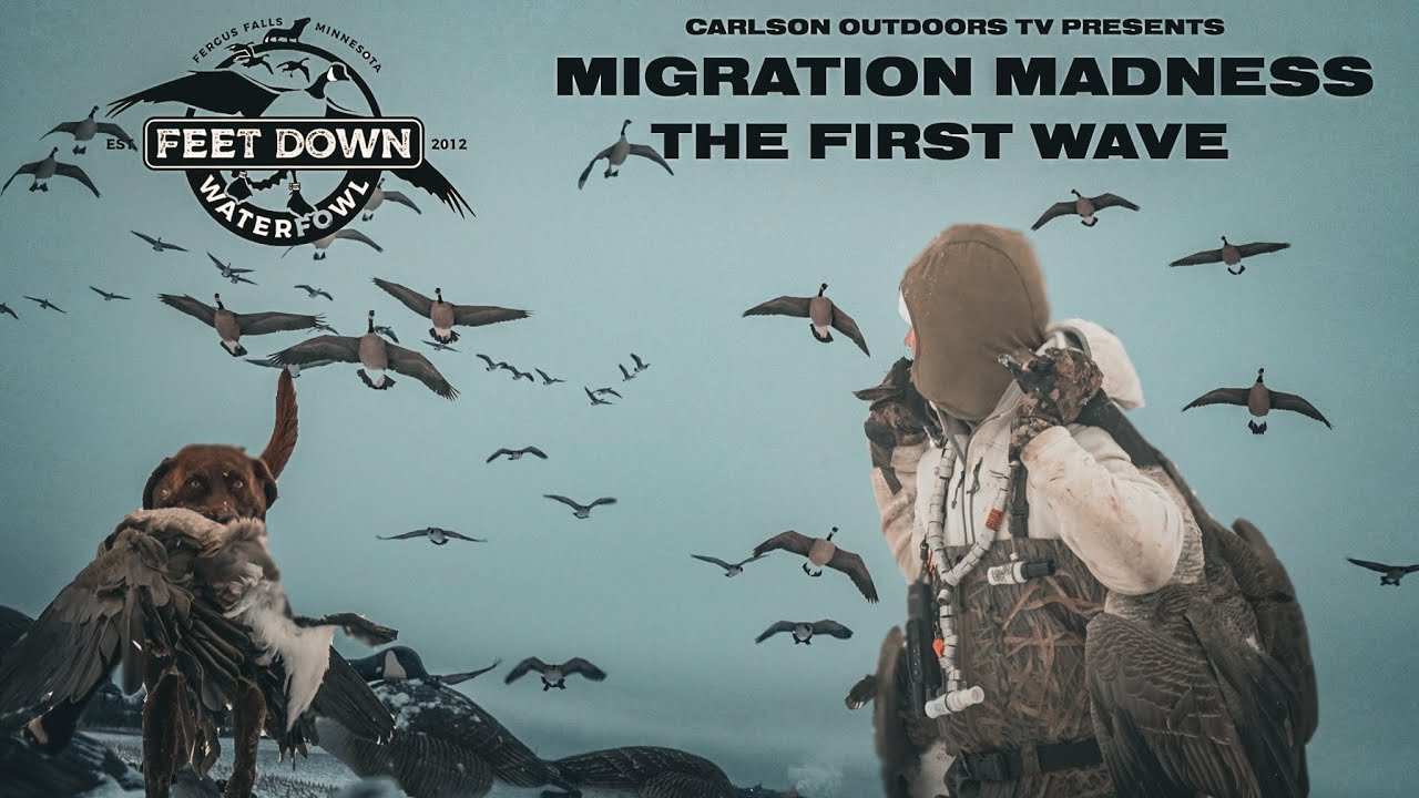 Migration Madness - The First Wave (Feet Down Waterfowl) - YouTube