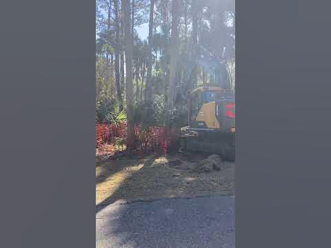 Excavator vs pine tree. - YouTube