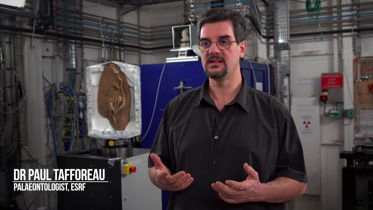 ESRF Fossil Report - YouTube