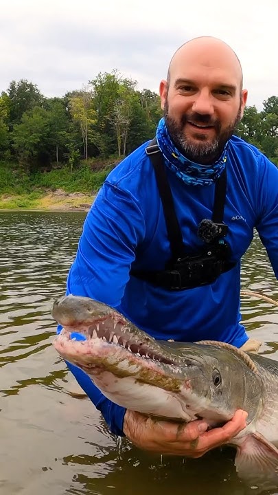 How to catch alligator gar bait. - YouTube