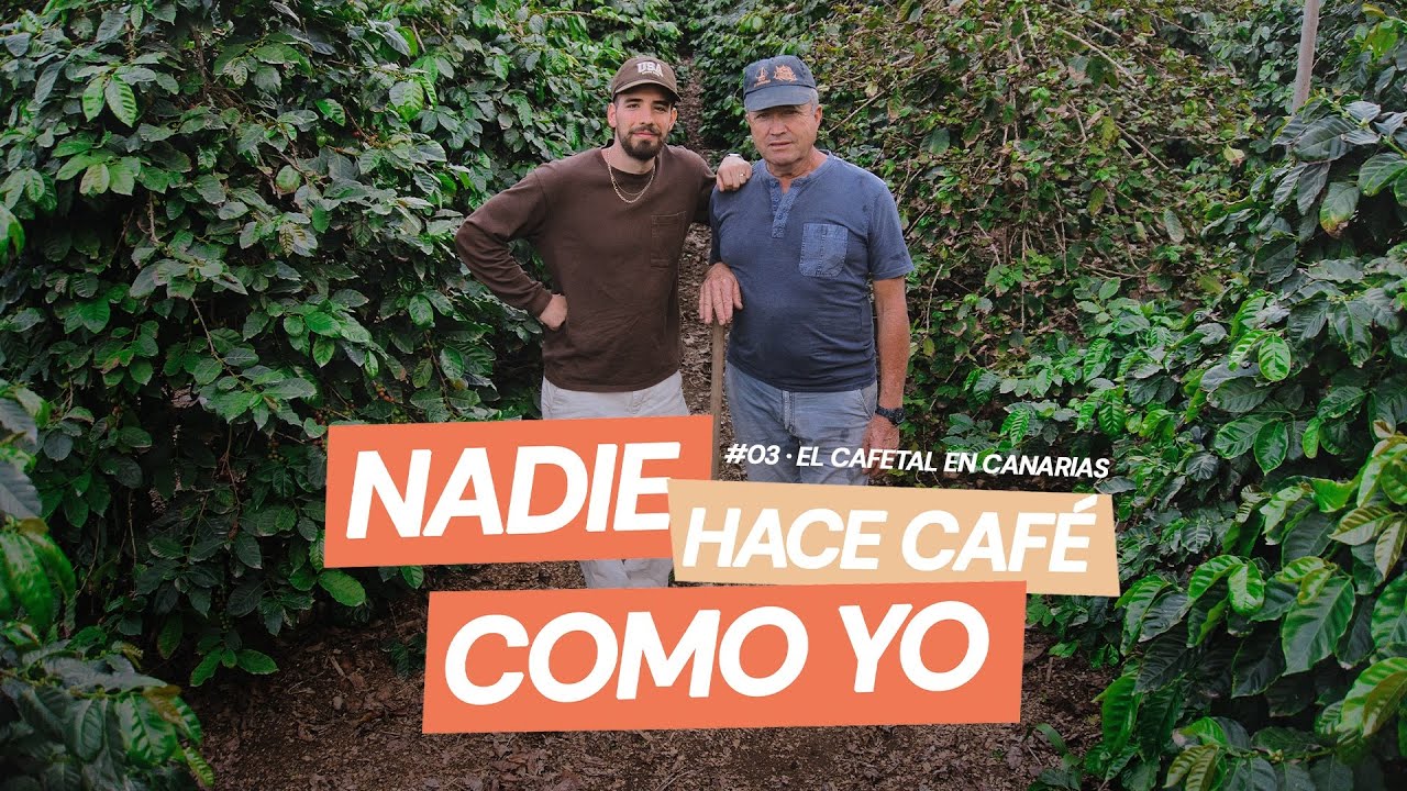 EL CAFICULTOR MÁS CANALLA DEL MUNDO | El Cafetal en Canarías #03 - YouTube