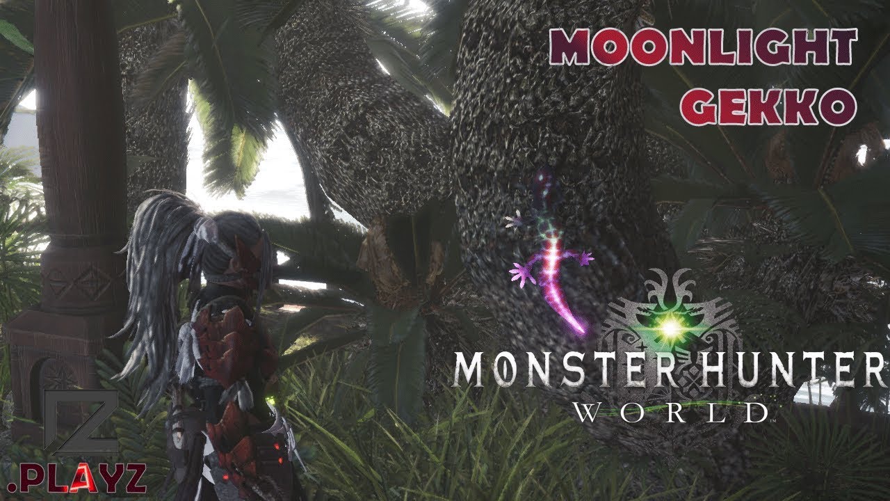 How to catch and find the Moonlight Gekko! - YouTube
