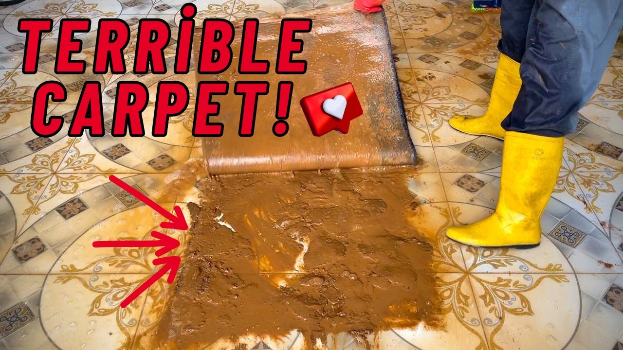 The dirtiest swamp carpet has been unearthed! Disgusting carpet ...