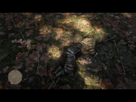 Red Dead Redemption 2 Chain gang Skeletons - YouTube
