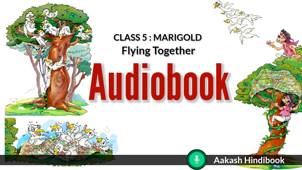 || CLASS 5 || Flying together || Hindi Audiobook by Aakash Laheri ...
