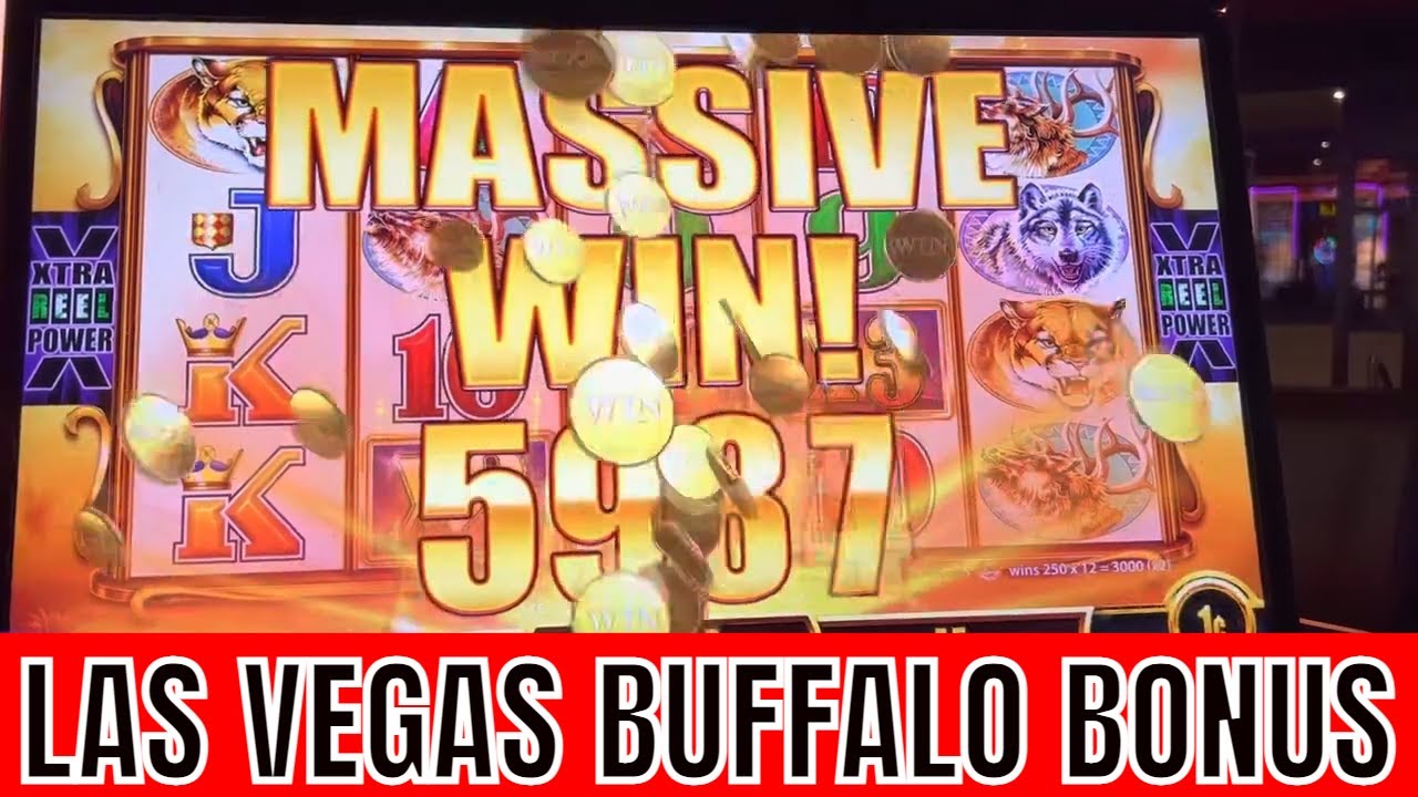 BUFFALO BONUS! Quick Video! COUGARS for the WIN! Las Vegas Casino Slot ...