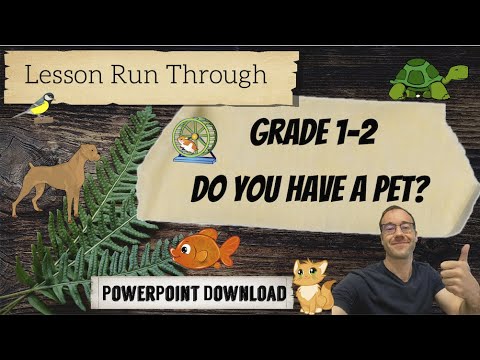Grade 1-2 - Do you have a pet? ESL Speaking Lesson Run through and ...