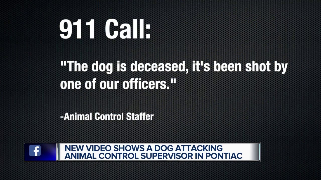 Policy changes follow dog attack at Oakland County Animal Control - YouTube