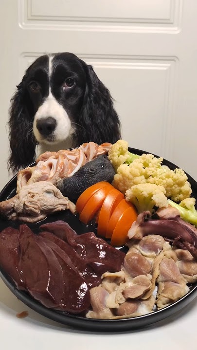 ASMR DOG EATING MUKBANG.Tempting chewing sounds and the appetizing feast#dogfood #asmr #dog # ...