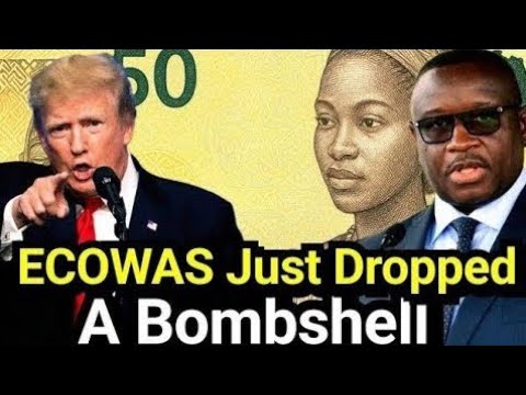 The Move ECOWAS Just Made That Will Change Everything 