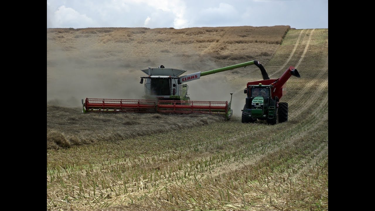 Rapsernte | Claas Lexion 770 & Vario 1230 | Repce Aratás 2018. - YouTube