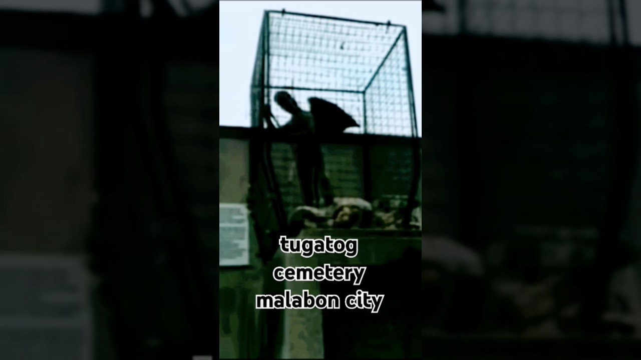 tugatog cemetery malabon city. rebulto ng demun niyo.at angel. - YouTube