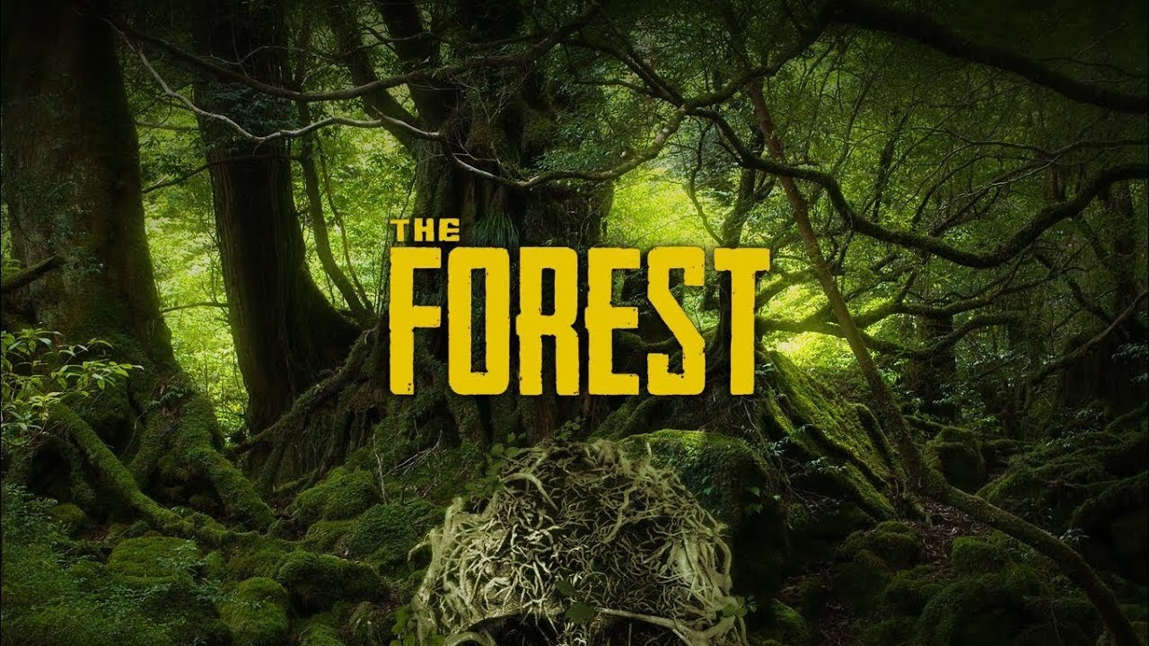 The Forest [PC GAMEPLAY GTX-1070 4K] - YouTube