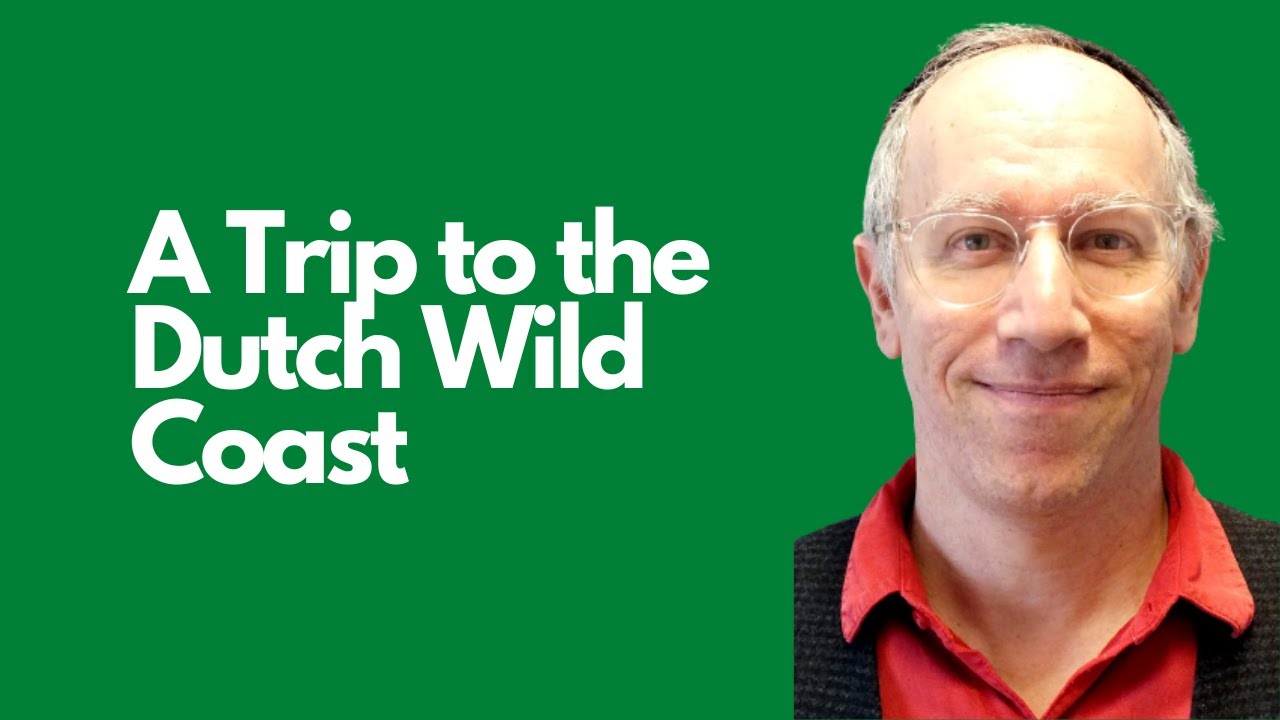 A Trip to the Dutch Wild Coast: A 1658 Sephardic Expedition - YouTube