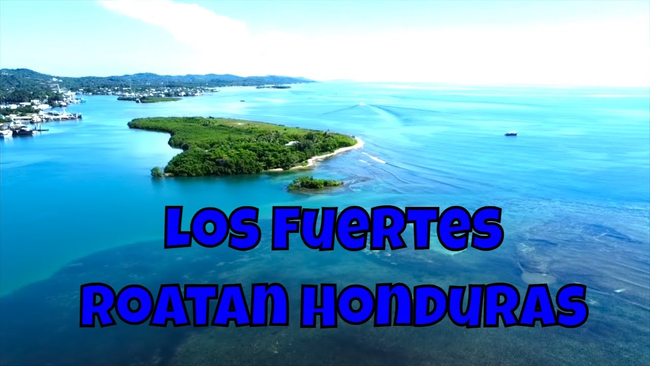 Experience The Beauty Of Roatan Island Tour | From The Sea On This ...