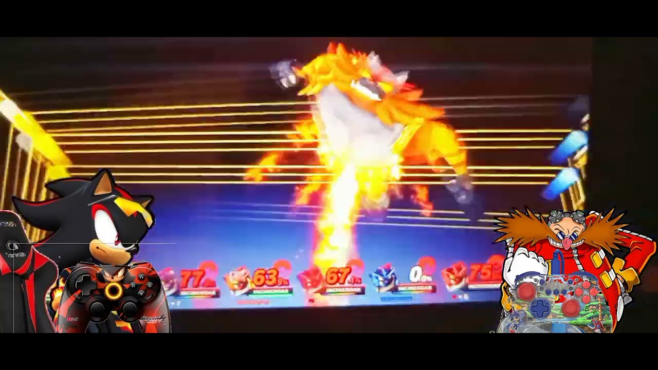 Shadow and Eggman vs A HORDE OF INCINERORES!!!? - YouTube