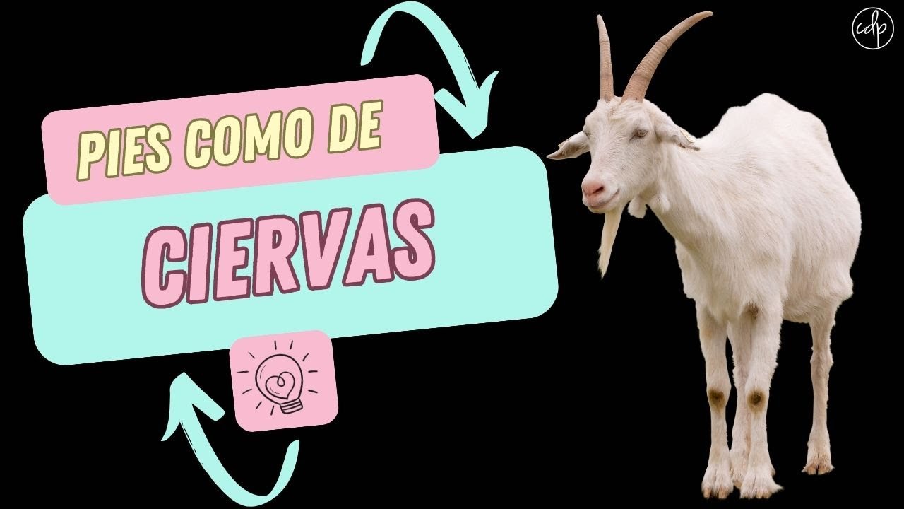 PIES COMO DE CIERVAS - SERVICIO VIERNES 31 DE ENERO DE 2025 - YouTube