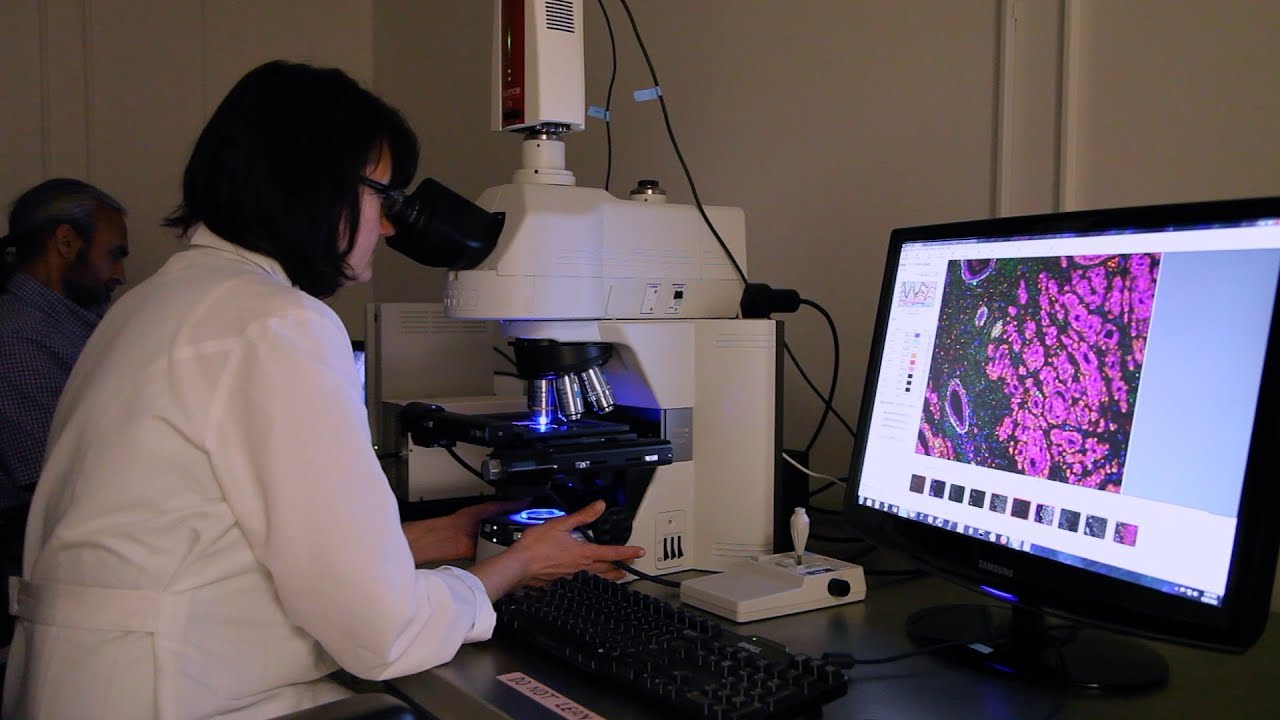 Center for Computational and Systems Pathology - YouTube