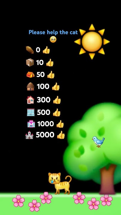 Please help the cat get a new home 🥺 #cat #catlover #kitten #kitty # ...