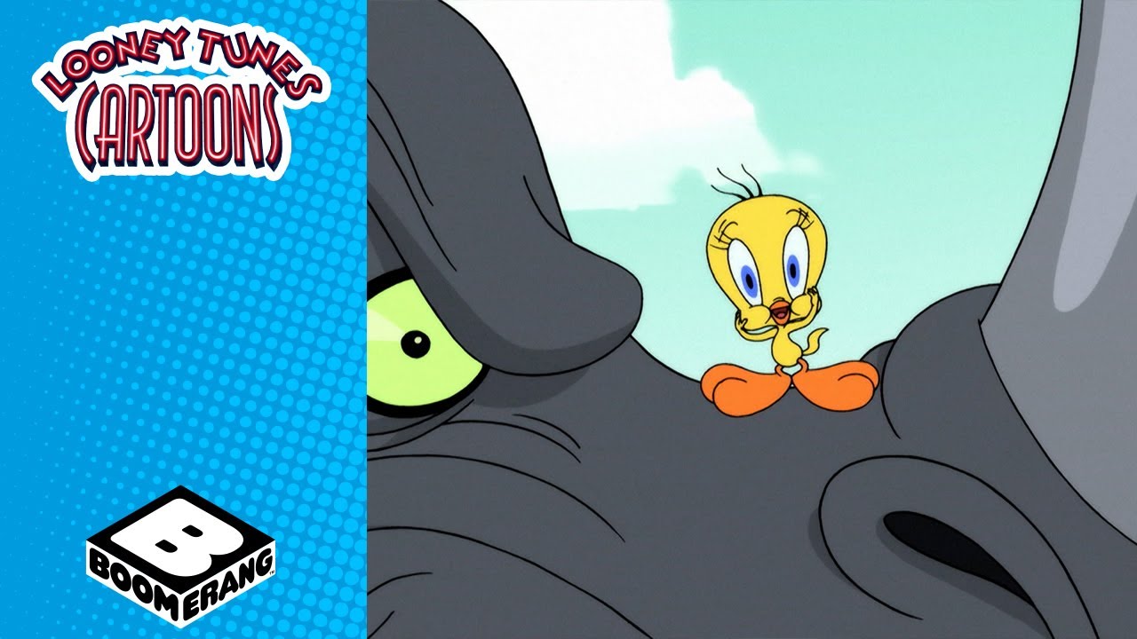 Trip to the Zoo! | Looney Tunes | @BoomerangUK - YouTube