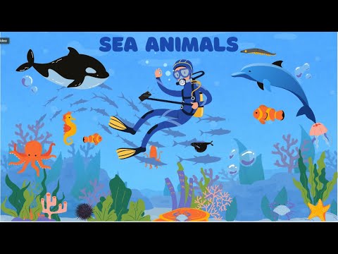 Meet the Sea Animals | Shark, Octopus, Dolphin, Jellyfish and many more ...
