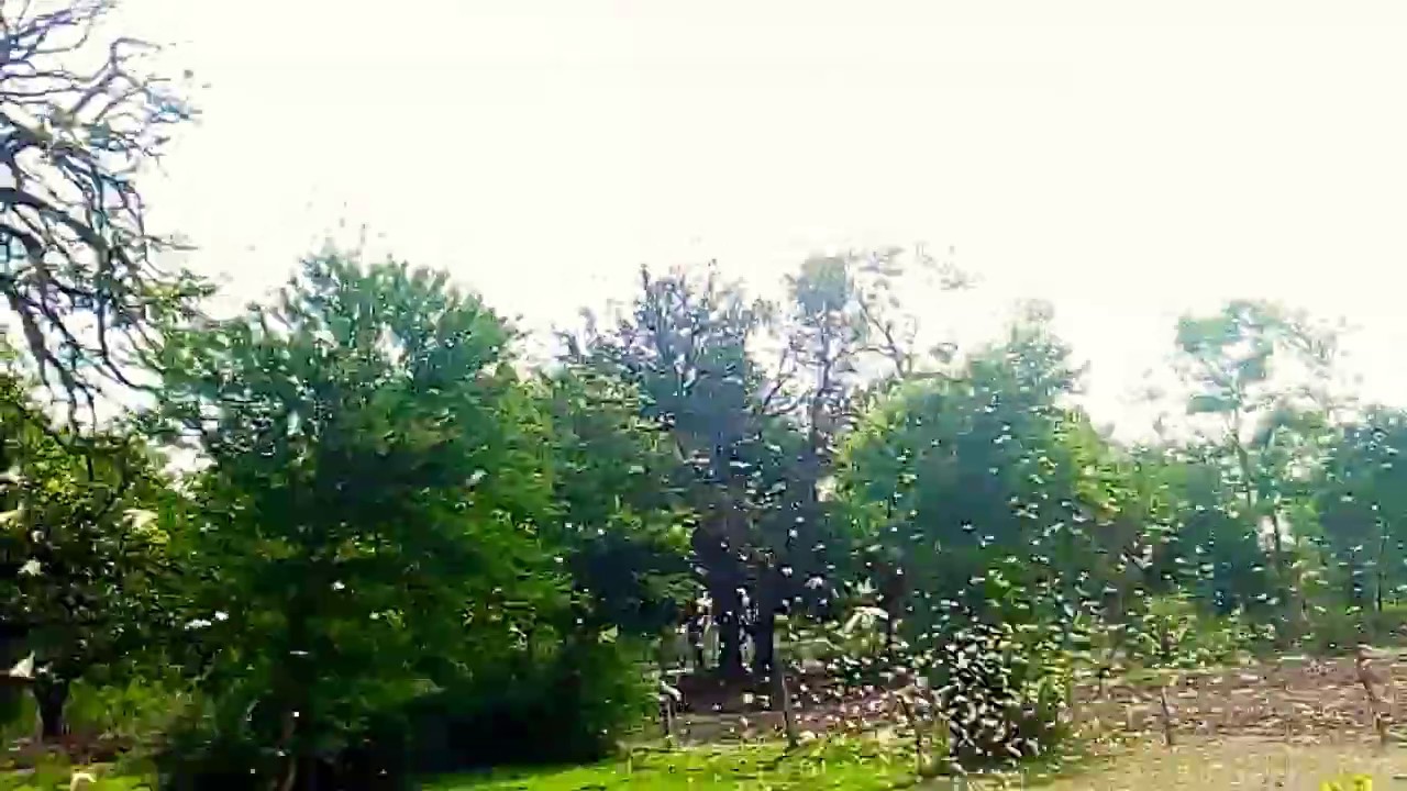 Ramtoriya me tidde - YouTube