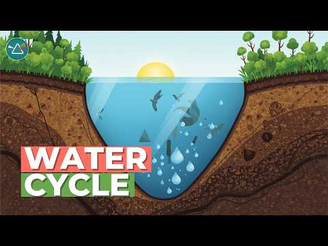 What is the Water Cycle - More Middle School Science on the Learning ...
