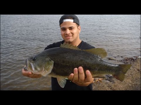 6 lb Bass from Kent Lk in Kensington Metropark - YouTube