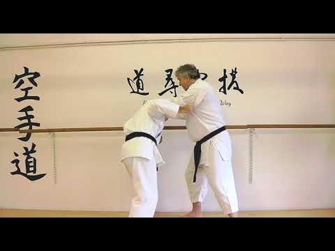 Heian Yondan Bunkai Strategies 2022 week 10 koryu karate oyo jutsu - YouTube