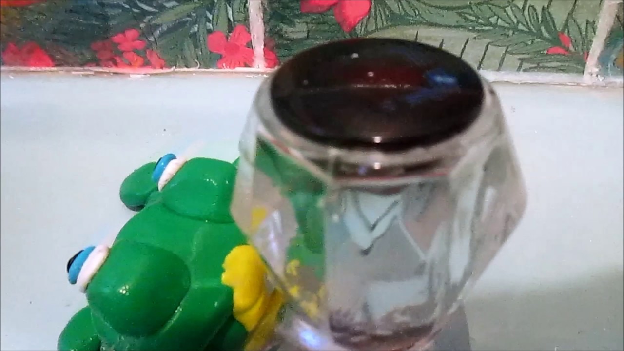 Poisoned Bodies - The Brian the Bunny Rabbit Show (Episode 8) - YouTube