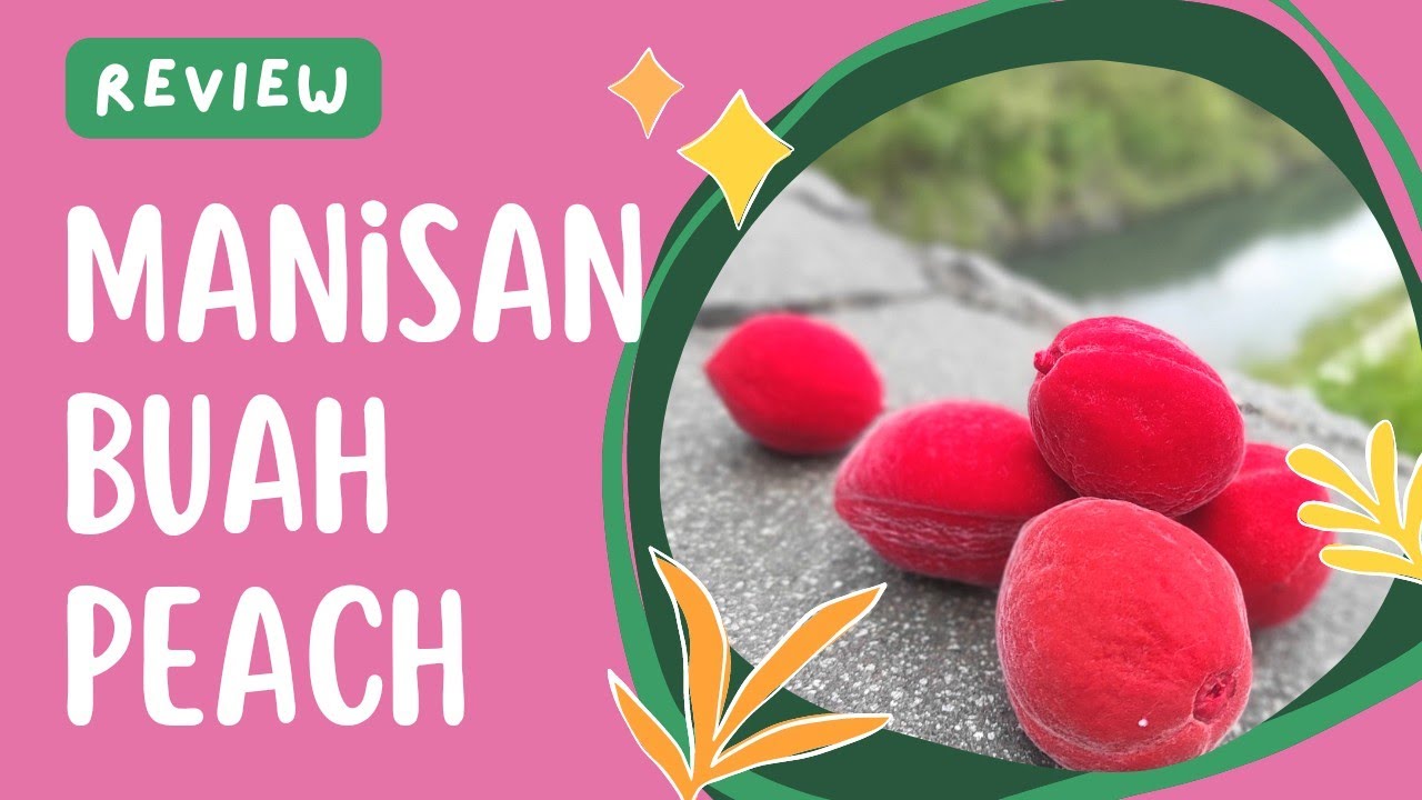 Review Manisan Buah Peach - YouTube