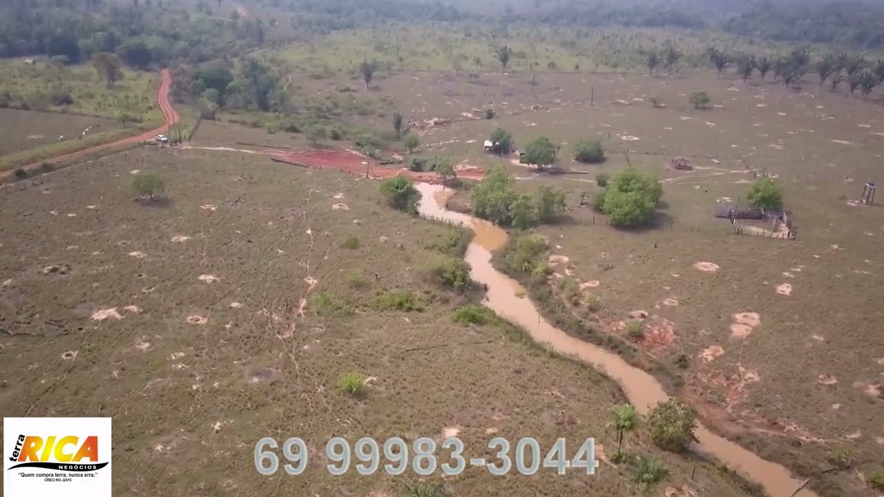 70 Hectares- R$ 850.000- Canutama/AM- SI0045 - YouTube