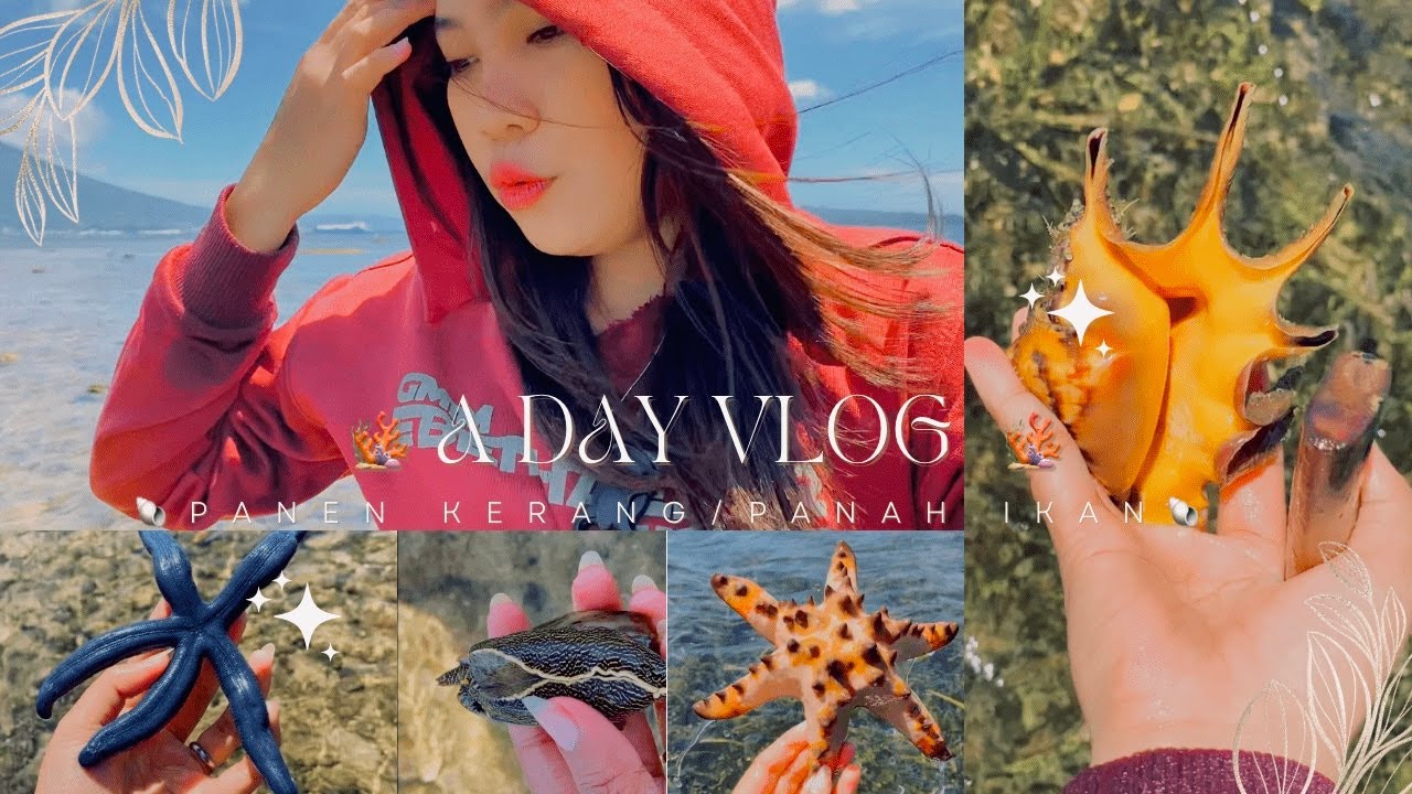 PANEN KERANG || JALA IKAN || PANAH IKAN, makan buah rumput laut😵🐚🪸 #fyp ...