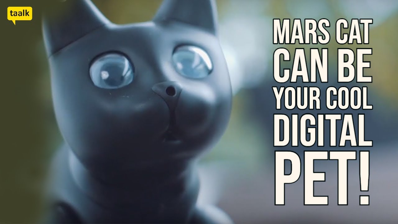 Mars Cat can be your Cool Digital Pet! - YouTube