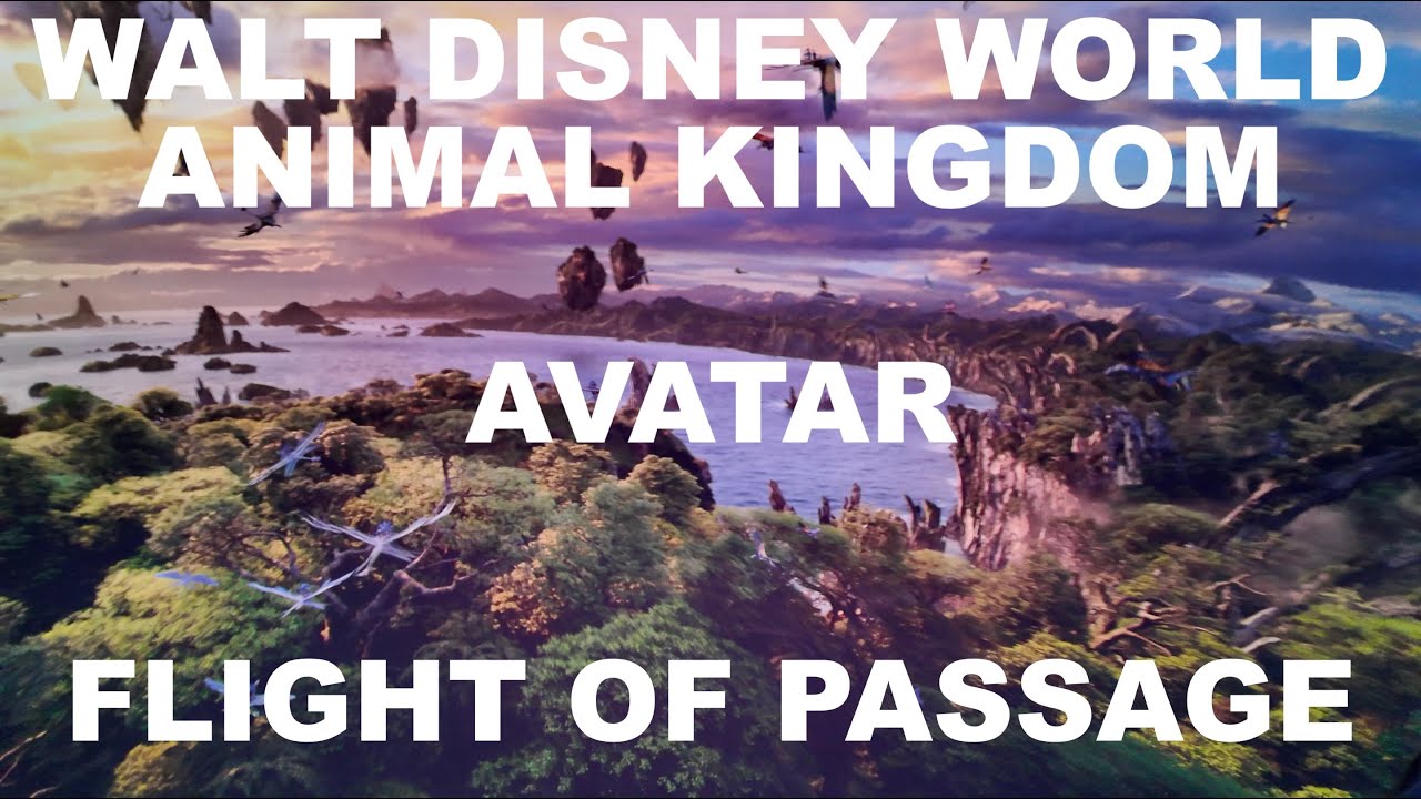 Walt Disney World | Animal Kingdom | Avatar Flight of Passage - YouTube