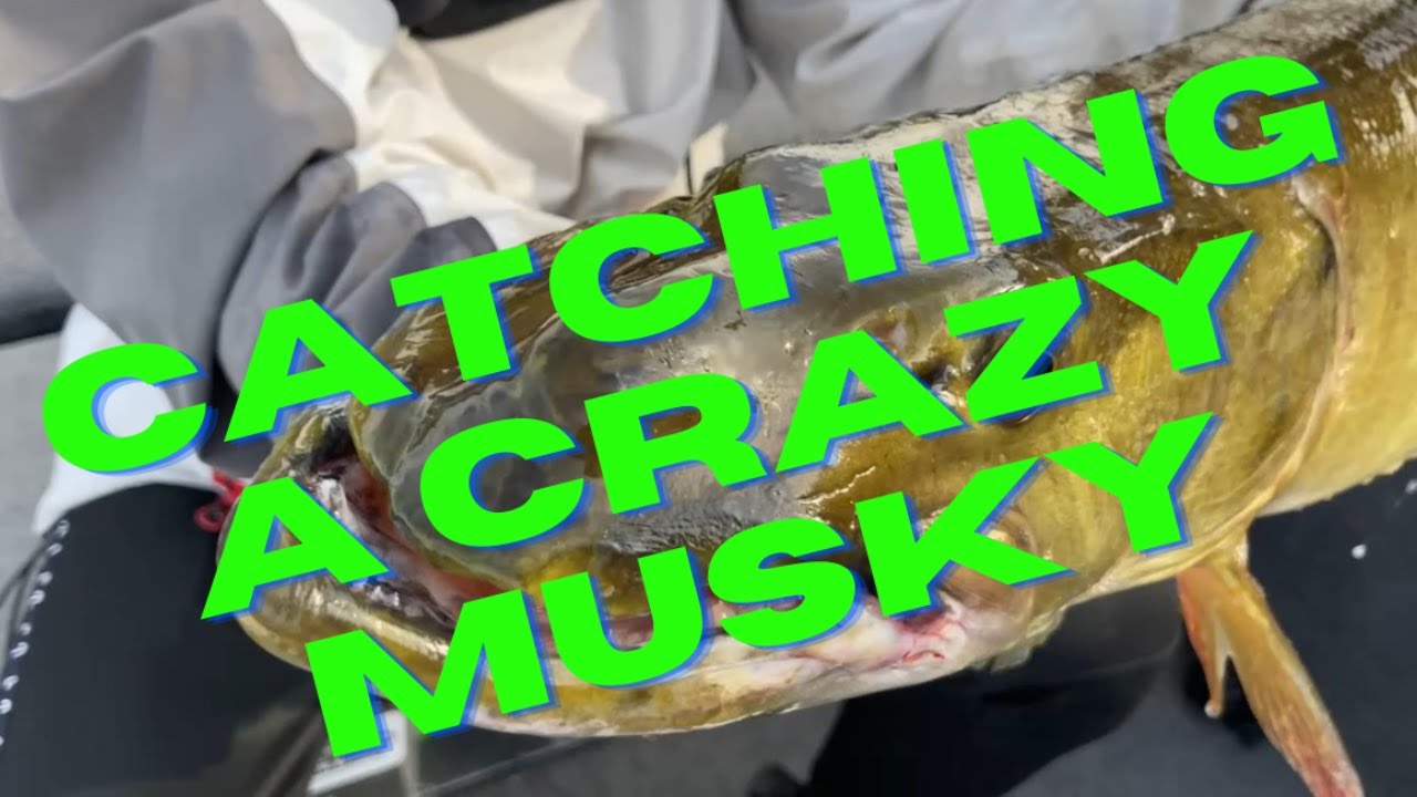 CATCHING A CRAZY MUSKY - 2 FISH DAY - LEARN HOW TO RIG SUCKERS - YouTube