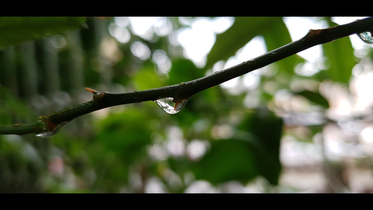 Rain - Slow Motion - Soothing BG Music - YouTube