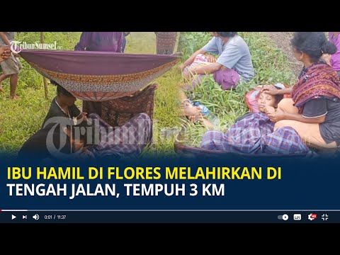 Viral Ibu Hamil di Flores Melahirkan di Tengah Jalan, Tempuh Jalur 3 KM