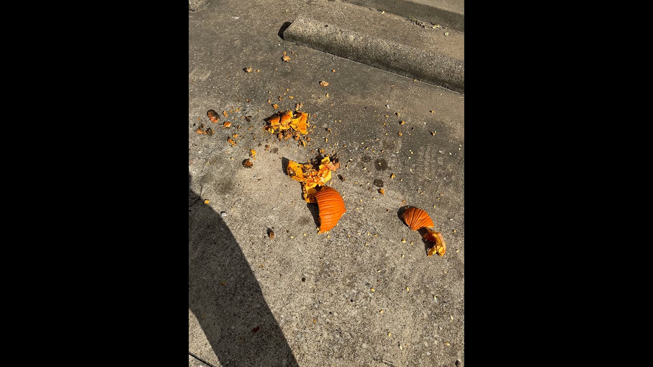 Rotten Pumpkin Splat: 2023 Edition! - YouTube