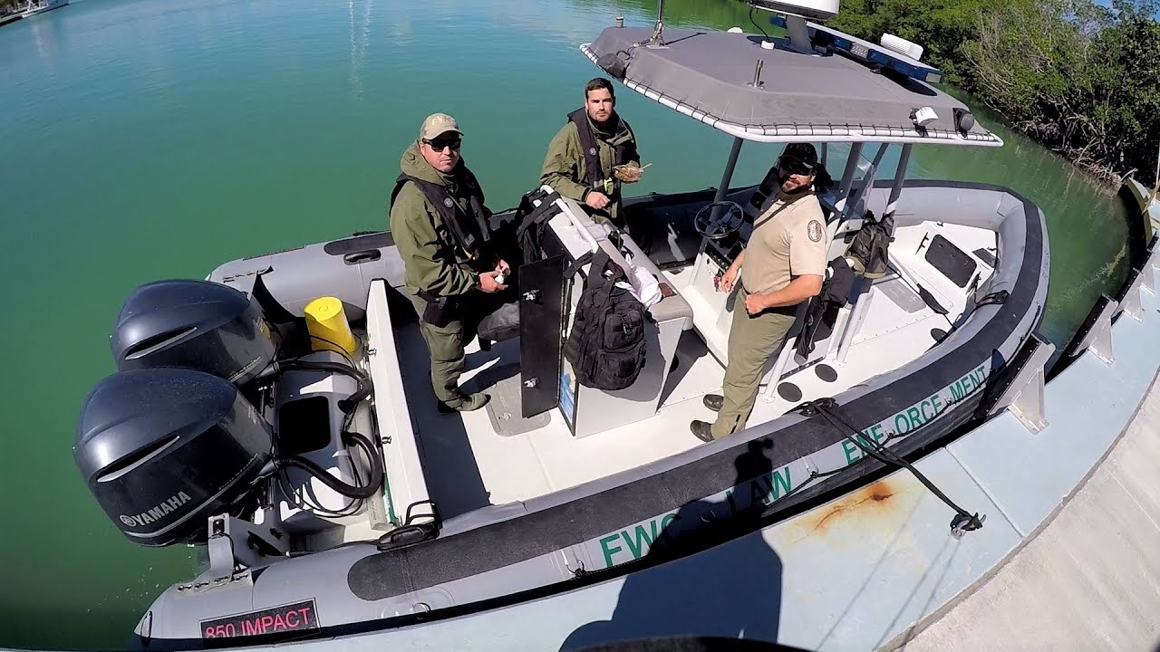 Pulled Over By FWC Officers On A Boat While Fishing From Land - YouTube