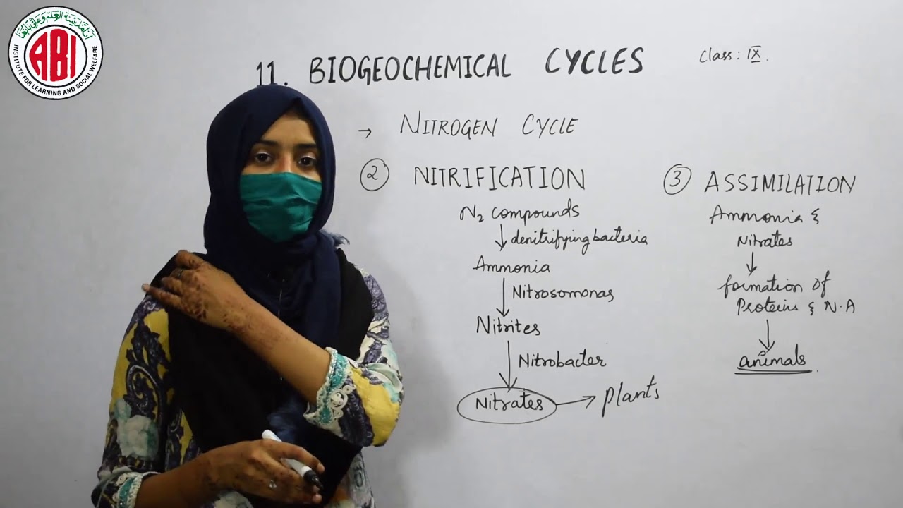 9th Class_Biology_Chapter 11_Part 03_"Biogeochemical Cycles" - YouTube