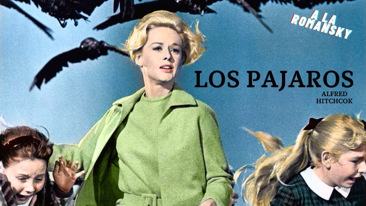 LOS PAJAROS (1962) Resumen. #alfredhitchcock - YouTube