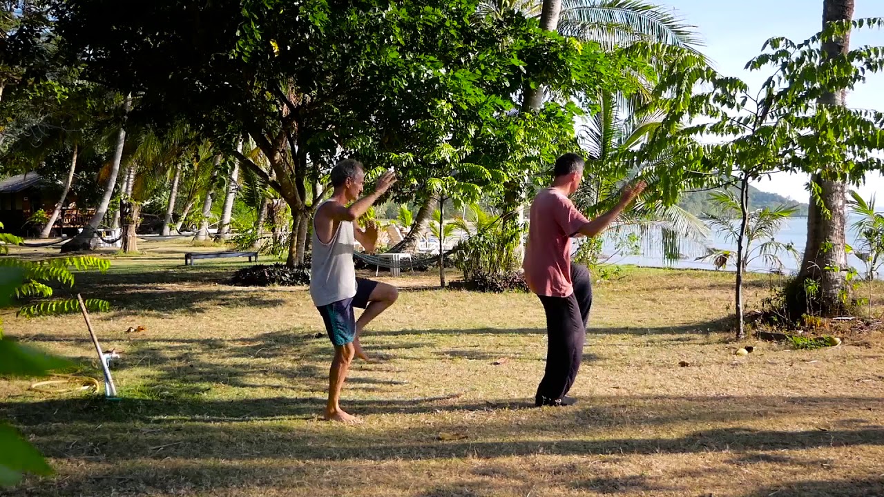Island Yoga Yang Style Tai Chi 12 Form with Master Anthony - YouTube