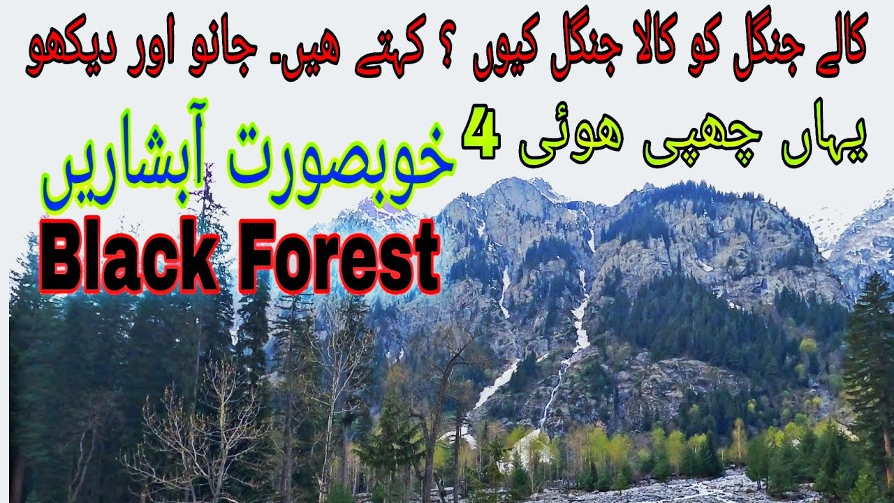 Kumrat Valley | Kumrat Forest Kala Chashma || Thal Valley | Dir Khyber ...