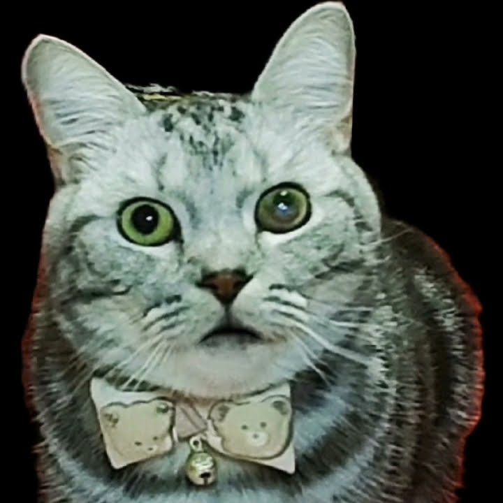 歌ってみた 【猫】ヨーデル 食べ放題 I sang [Cat] Yodel all you can eat. - YouTube