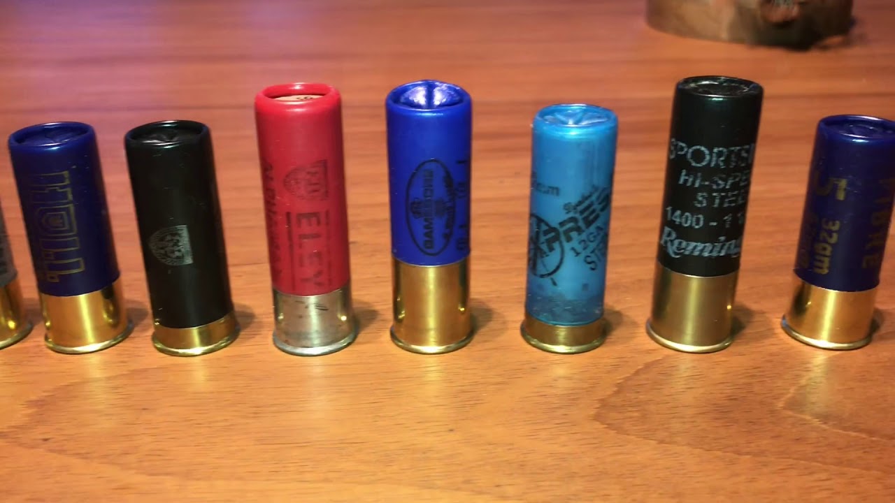 Best Shotgun Hulls To Reload at Annabelle Toomey blog