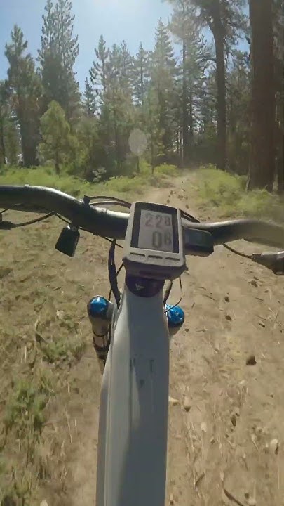 My. Pinos top section (rollin over 3 downed trees) - YouTube