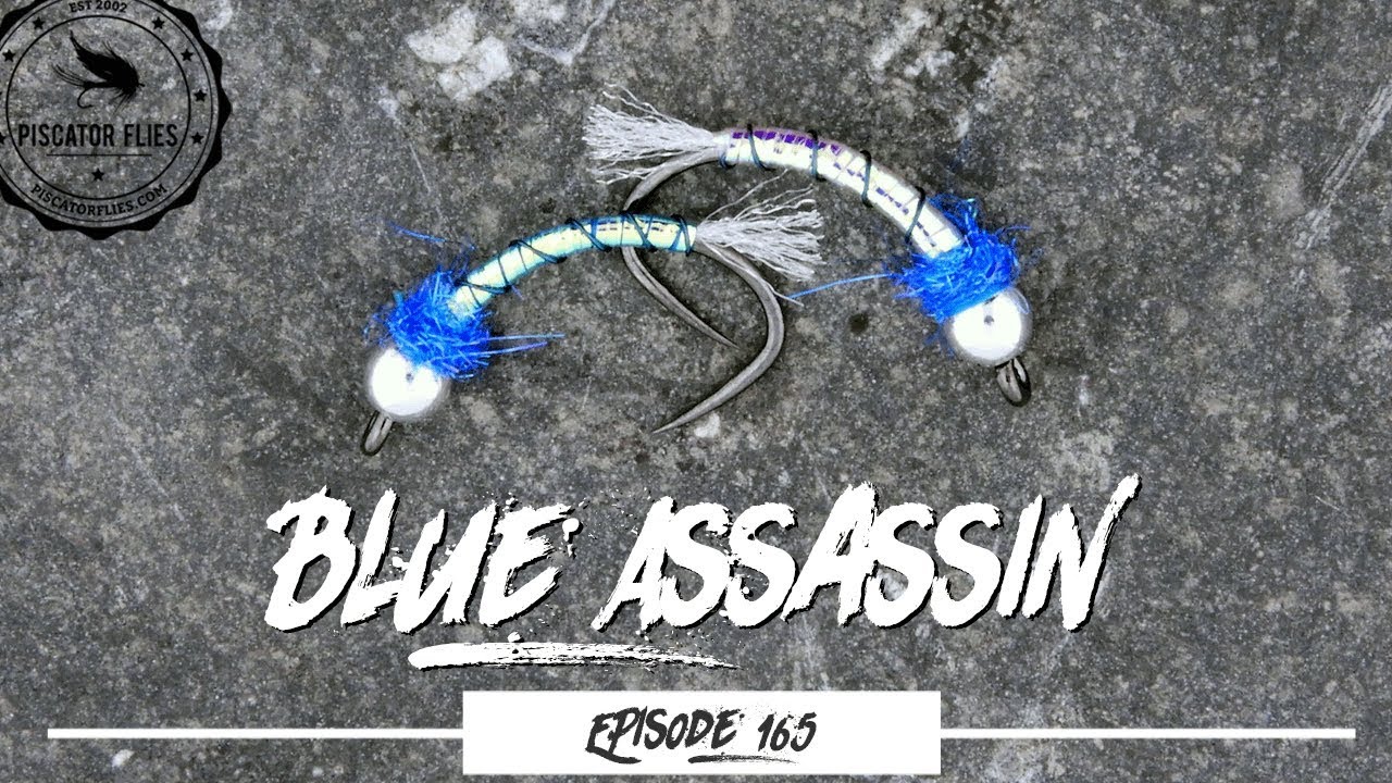 Tying the Blue Assassin Trout Fly Pattern - Ep165 PF #PiscatorFlies ...