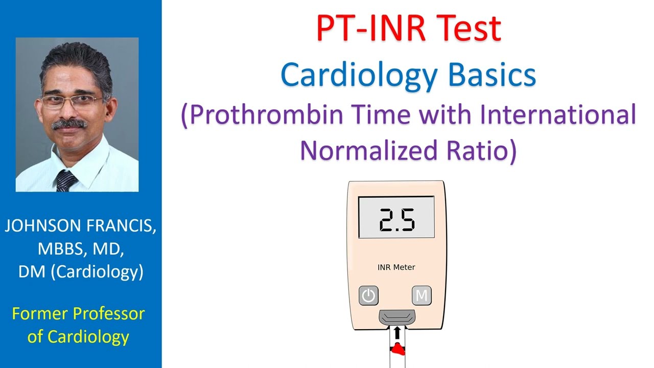 What Is PT INR Test Cardiology Basics YouTube What Is PT INR Test Cardiology Basics YouTube